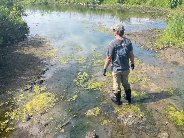 Bob Kerr in Willcox Savage's March 12 Webinar: Navigating Wetlands ...