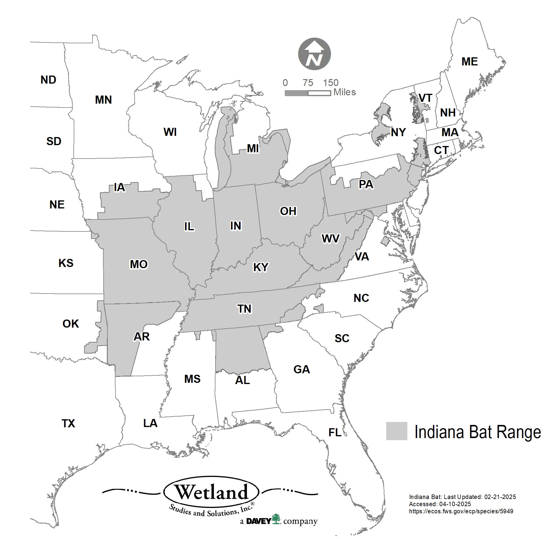 Spring Transitions – Bat Reminders & Updates - WSSI