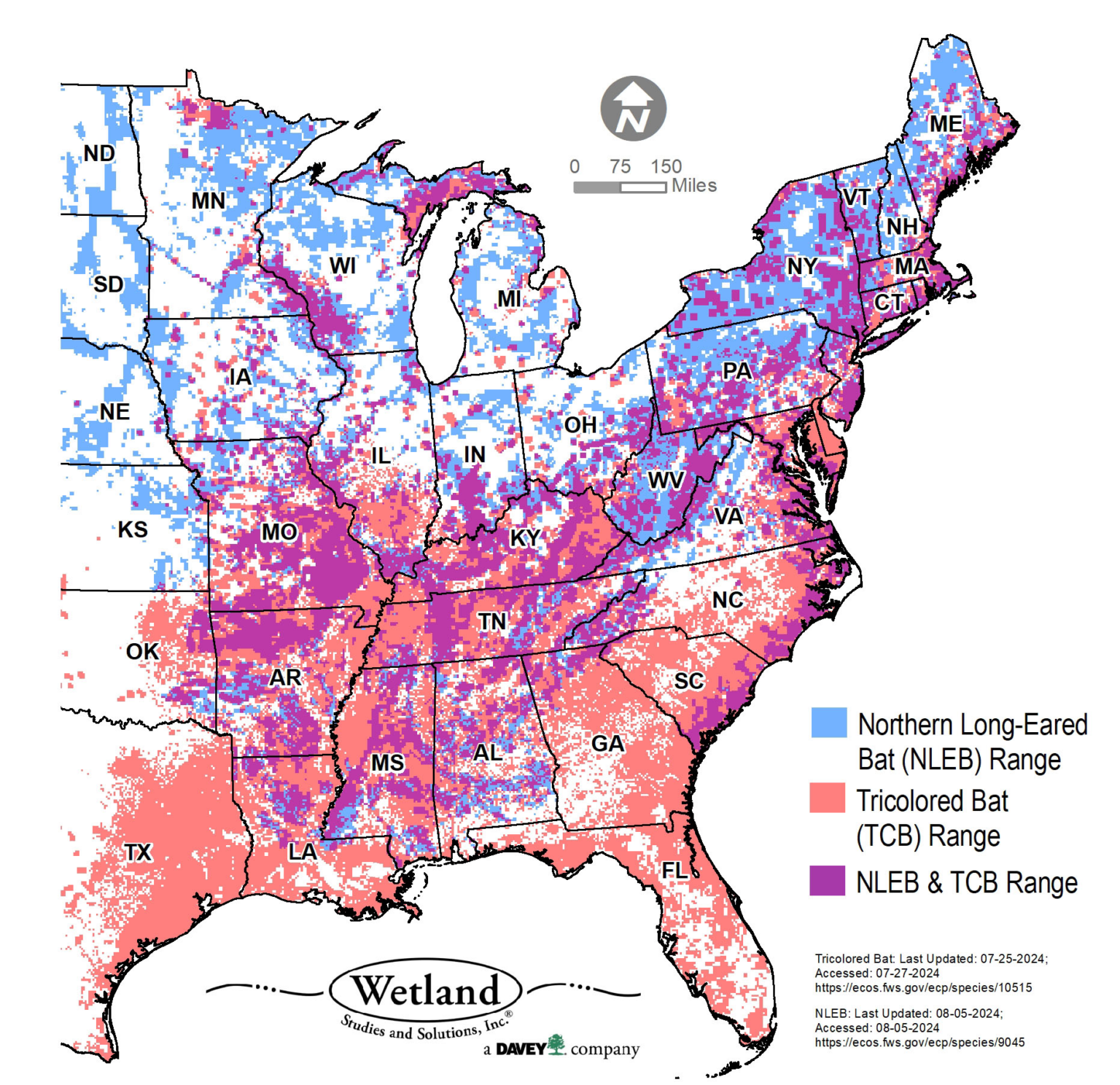 Spring Transitions – Bat Reminders & Updates - WSSI