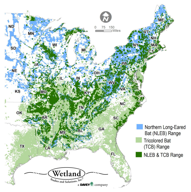 USFWS Implements Final Bat Tools - WSSI